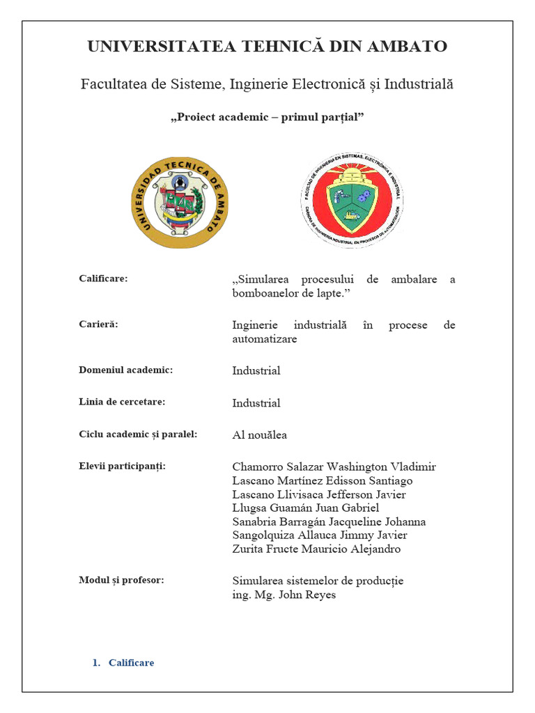 Proiectul Flexsim | PDF