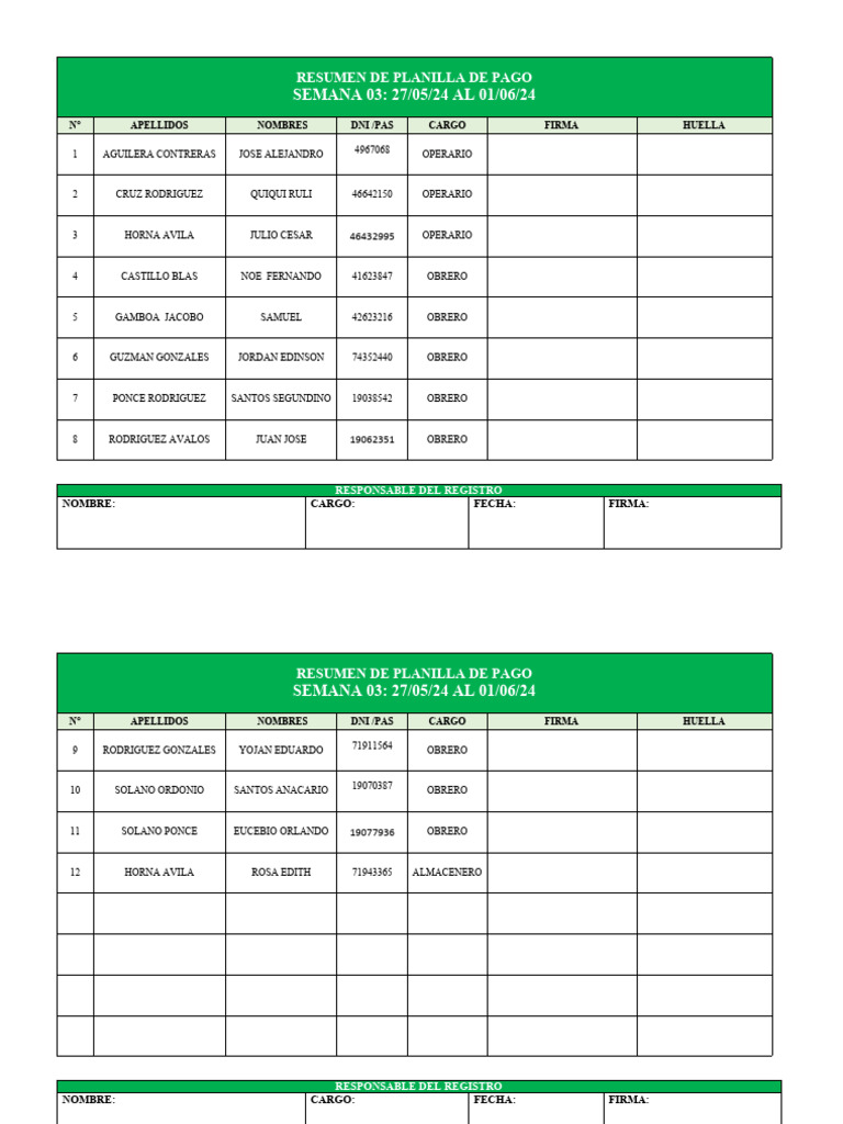 Formato de Planilla de Pago - Semana Nº3-Nº4 | PDF