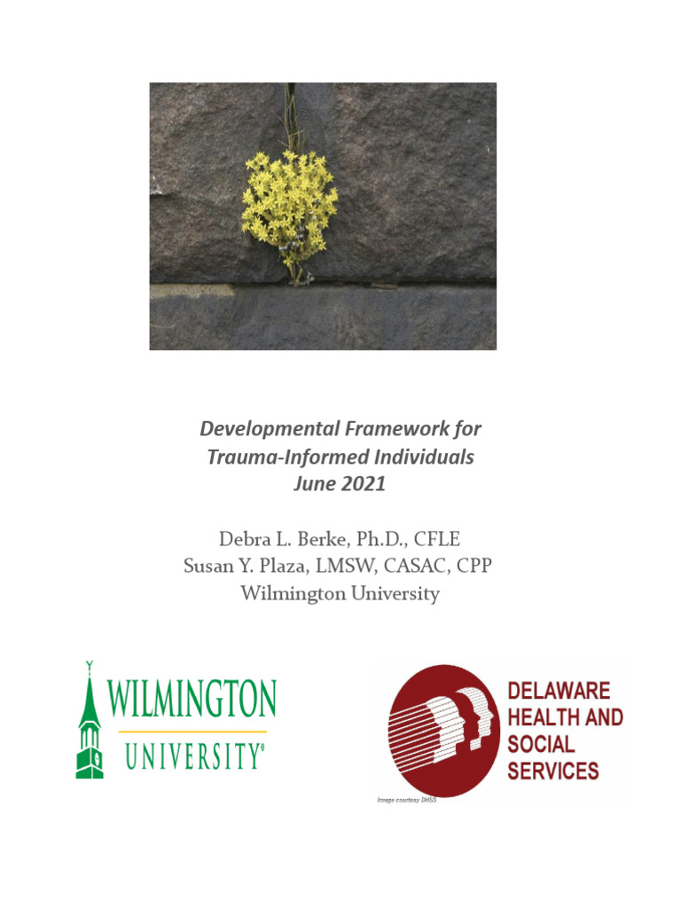 TI Core Competencies June 2021 | PDF | Psychological Trauma ...