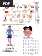 Sopa de Letras: Partes del Cuerpo Humano | PDF