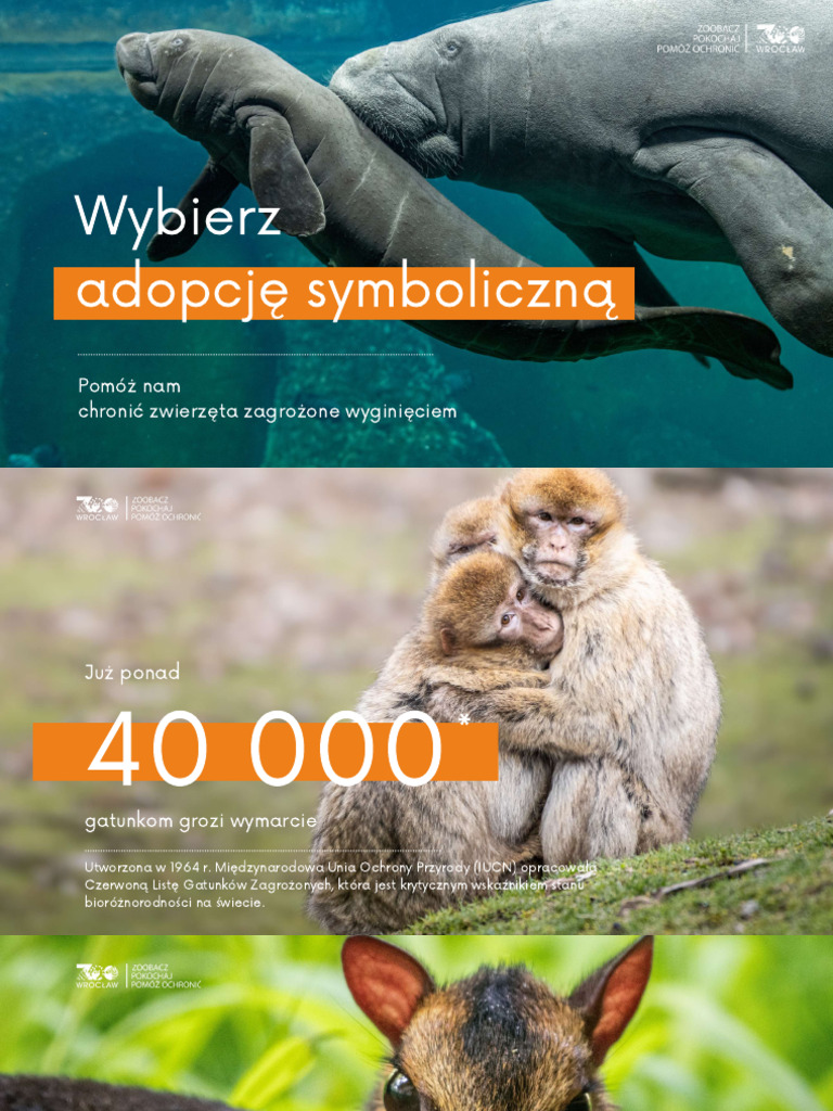 Adopcja Symboliczna ZOO Wroclaw 11-04-2022 Compressed | PDF