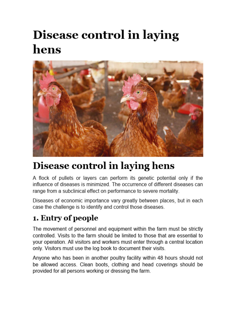 Disease Control in Laying Hens | PDF | Vaccines | Medicine