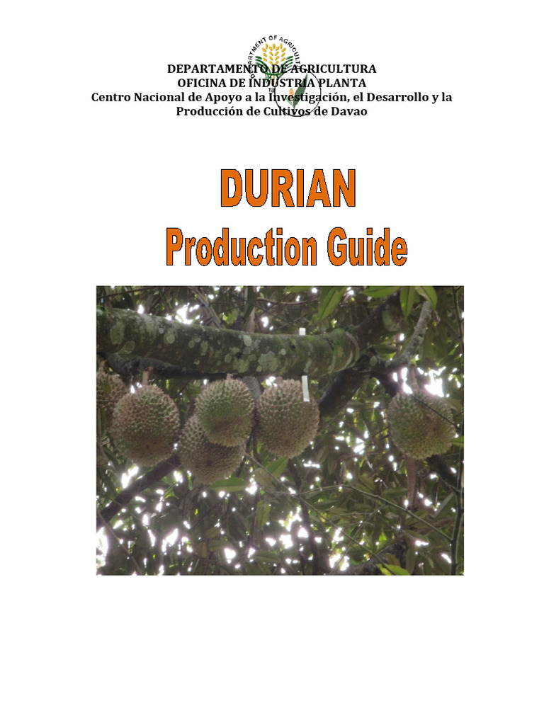Guía de Producción de Durián | PDF