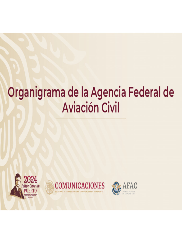 Organigrama Afac 2024 05062024 | PDF