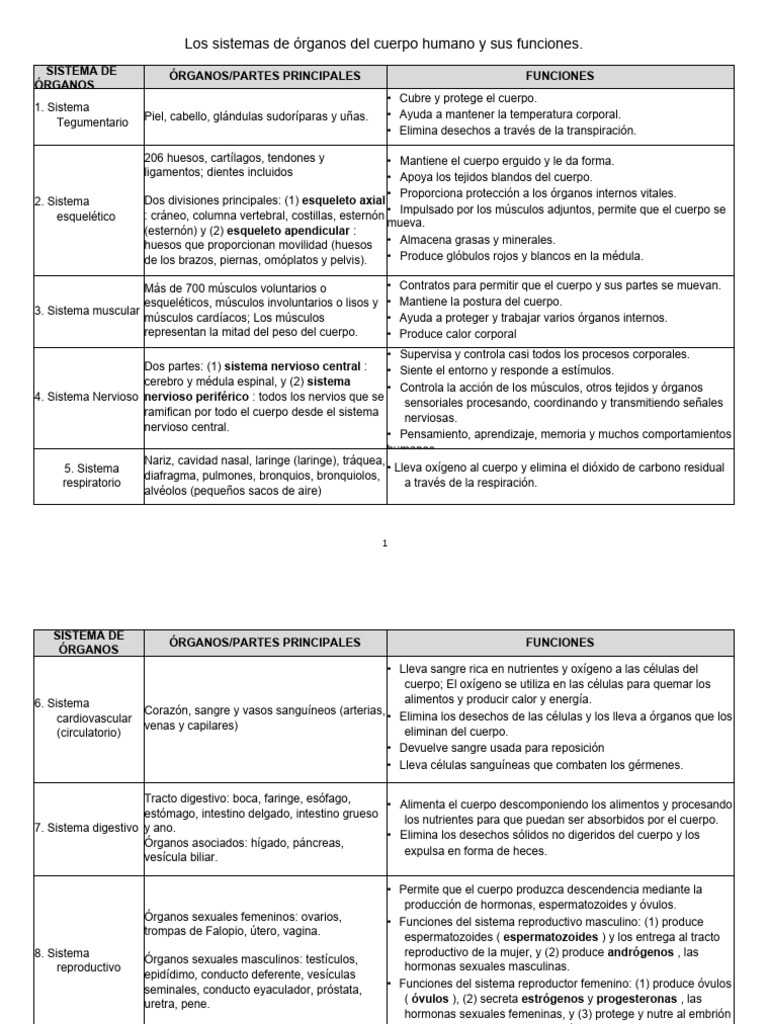 Los Sistemas de Órganos Del Cuerpo Humano: Sus Principales Componentes ...