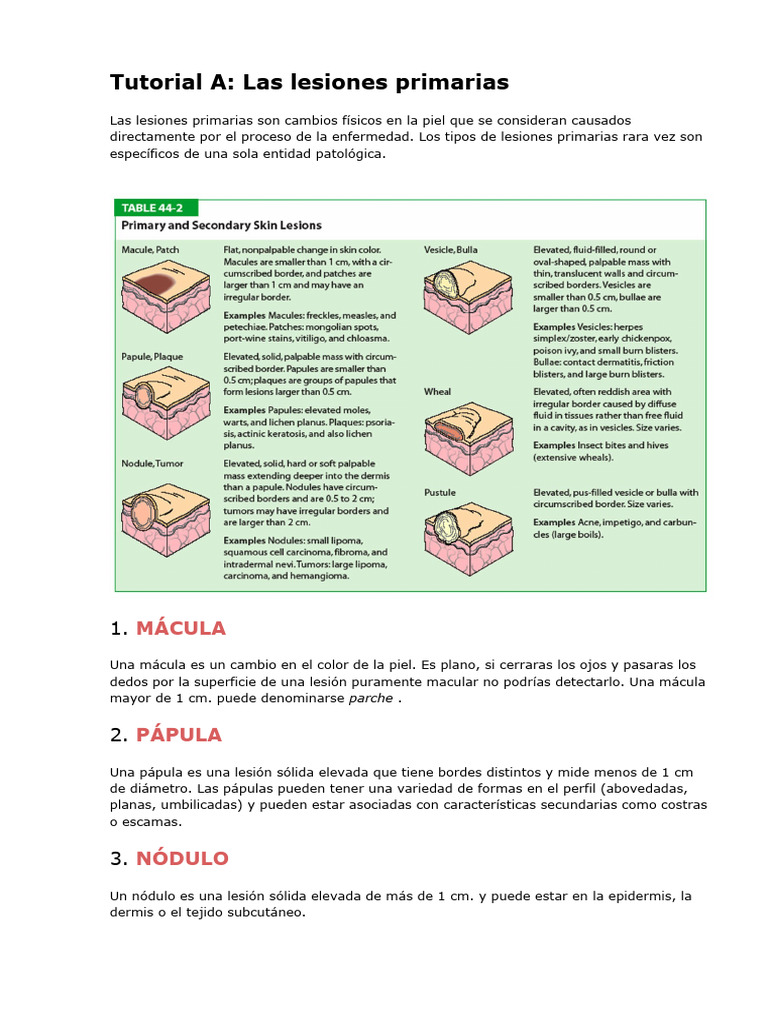 Lesiones Cutáneas Secundarias: Guía | PDF | Piel | Causas de la muerte