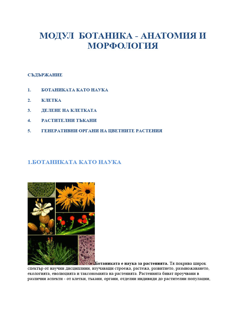 1.MODUL Botanika Anatomiya I Morfologiya | PDF