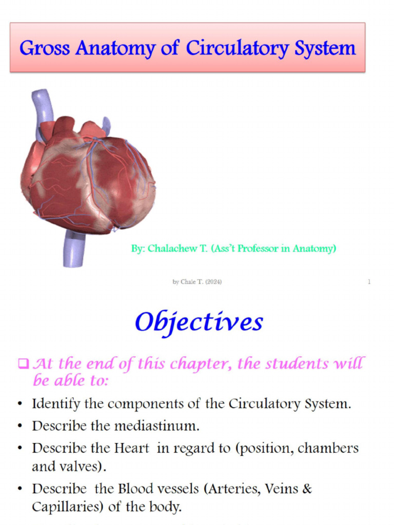 Anatomy of CVS & LS (2024) | PDF