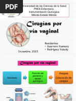 Colpoperineoplastia: Técnica y Procedimiento | PDF