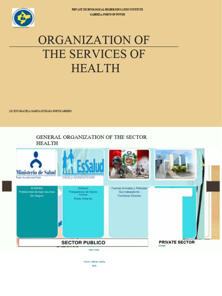 Organization of Health Services Overview | PDF | Hospital | Health Care
