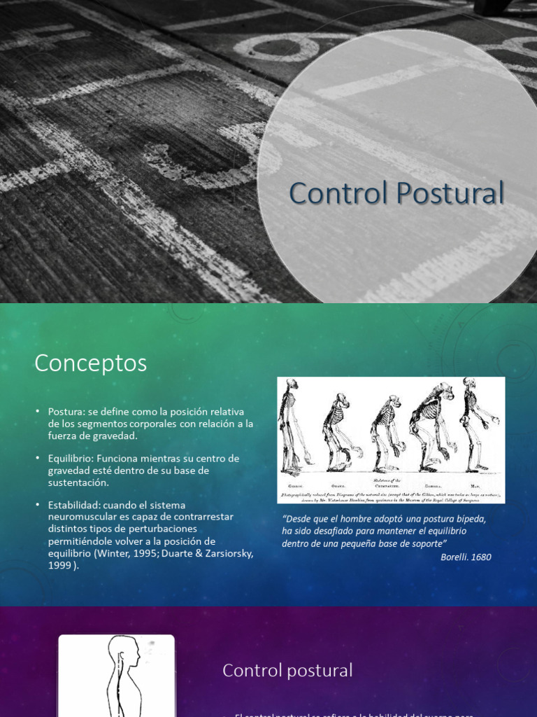 Control Postural | PDF | Envejecimiento | Sistema somatosensorial