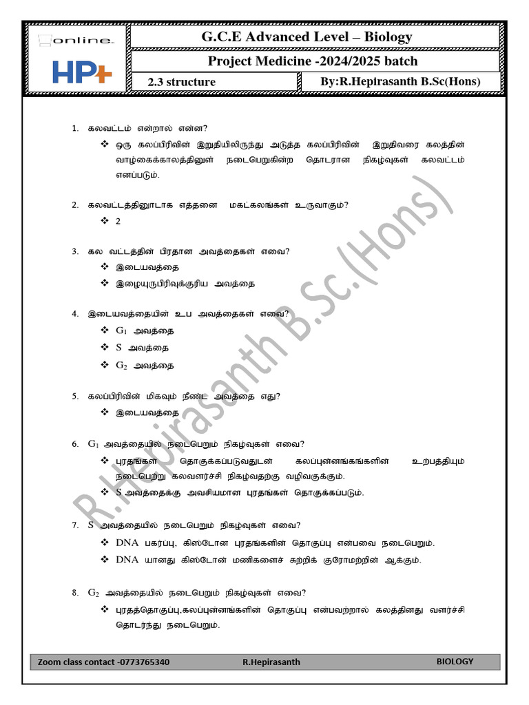 2.3 Structure | PDF | Wellness