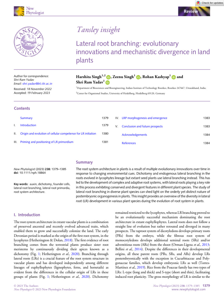 New Phytologist - 2023 - Singh - Lateral Root Branching Evolutionary Innovations and Mechanistic ...