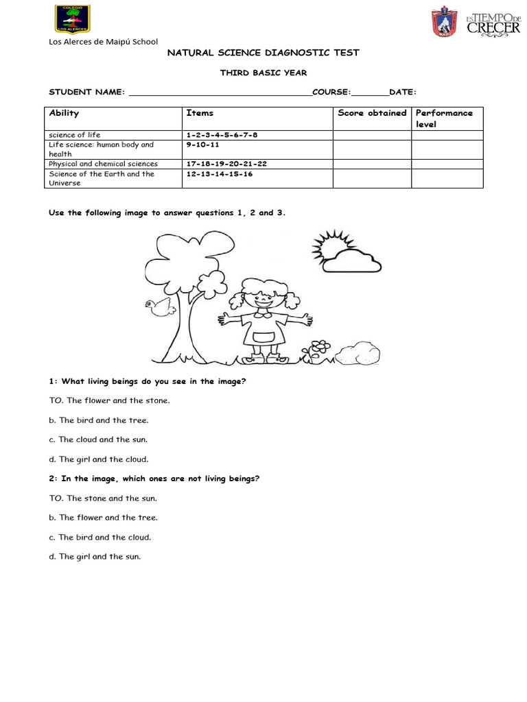 Natural Sciences Diagnostic Test 3rd | Download Free PDF | Shadow | Science