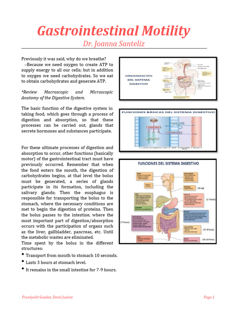 Gastrointestinal Motility | PDF | Gastrointestinal Tract | Stomach