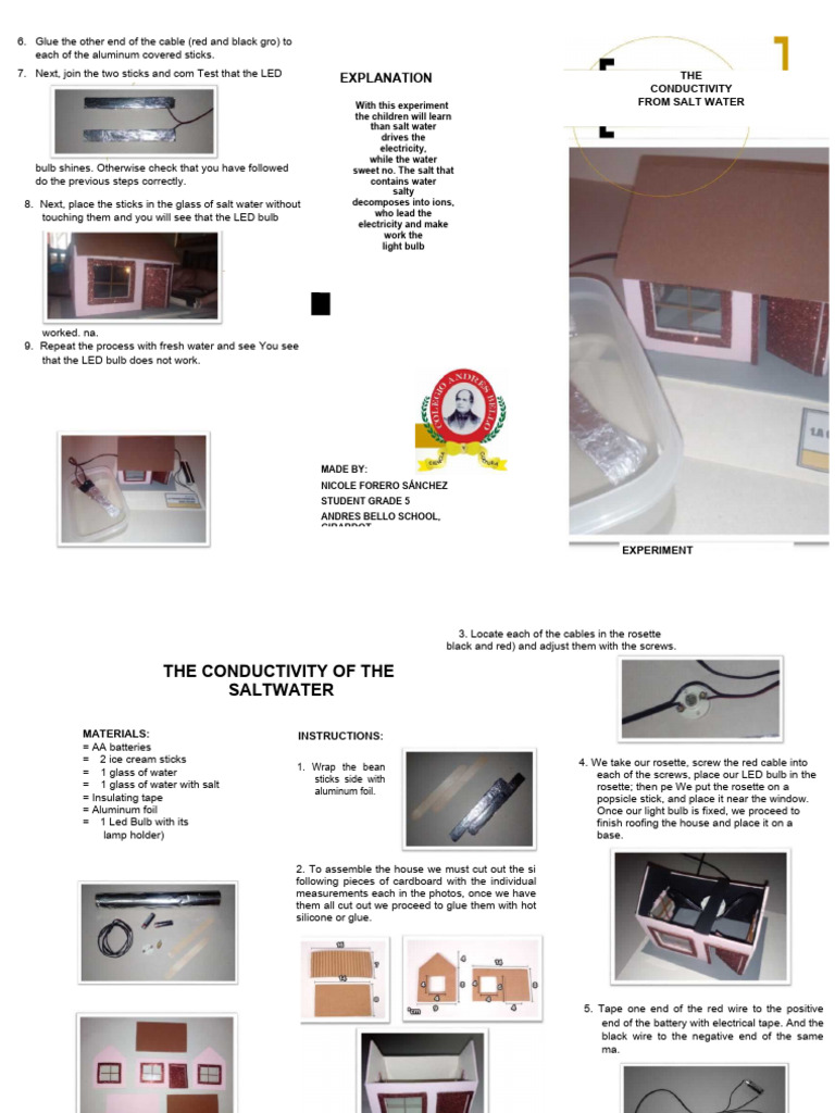 Saltwater Conductivity Experiment Brochure - Nicole | PDF | Building ...