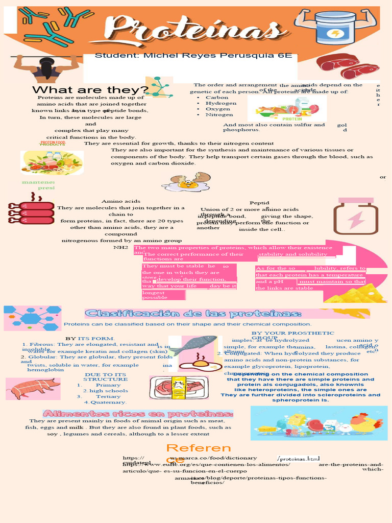 Protein Infographic | PDF | Proteins | Amino Acid
