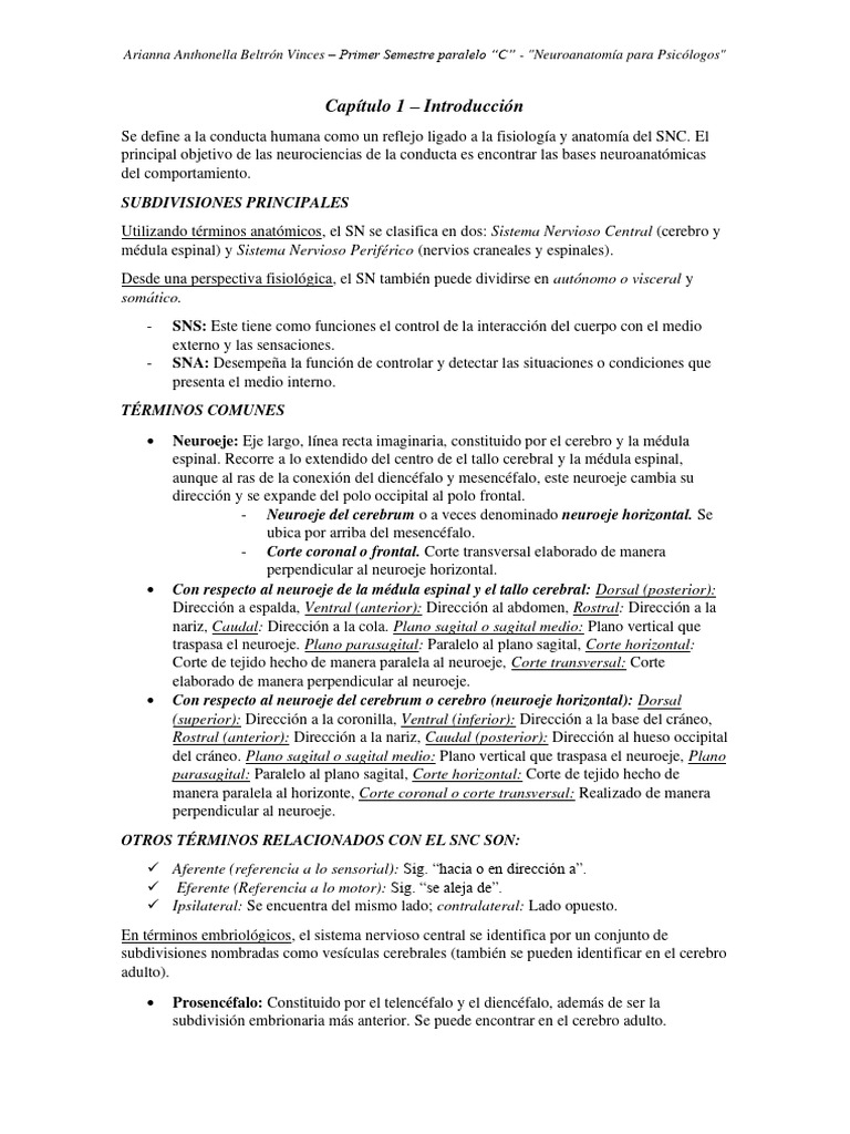 Trabajo Autónomo 1 - Anthonella Beltrón Vinces | PDF | Sinapsis | Cerebro