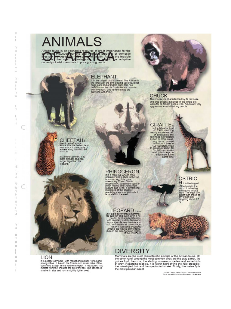Animals of Africa | PDF | Elephant | Mammals