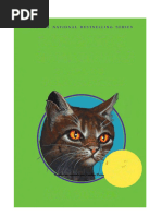 Diary of An 8-Bit Warrior: Shadow Over Aetheria | PDF