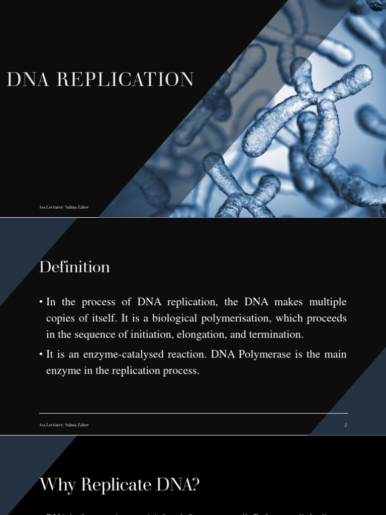 Dna Replication Pdf Dna Replication Dna