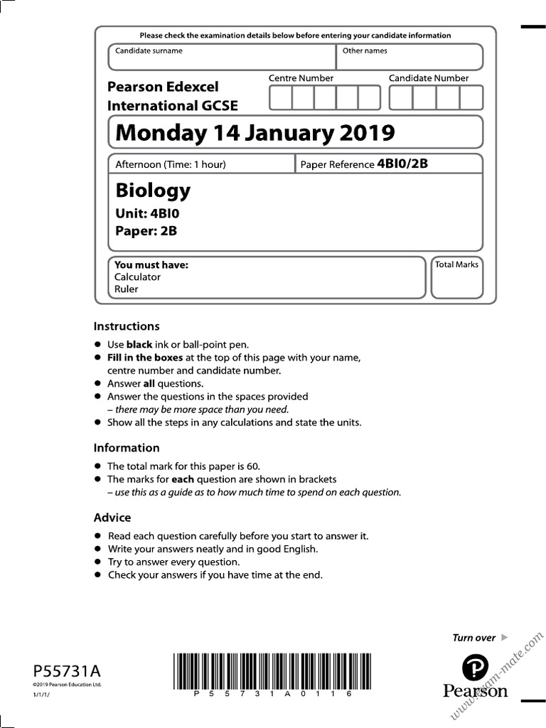 4bi0 w19 QP 2b | PDF
