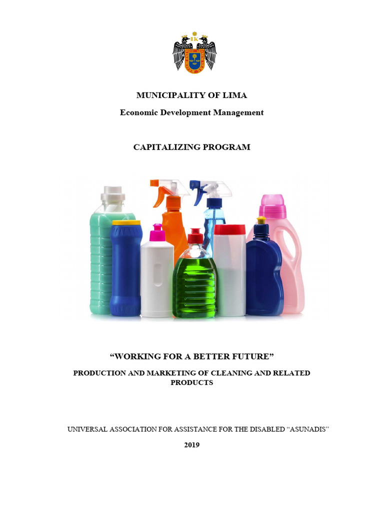 Lima Cleaning Products Marketing Project | PDF | Bleach | Chemical ...