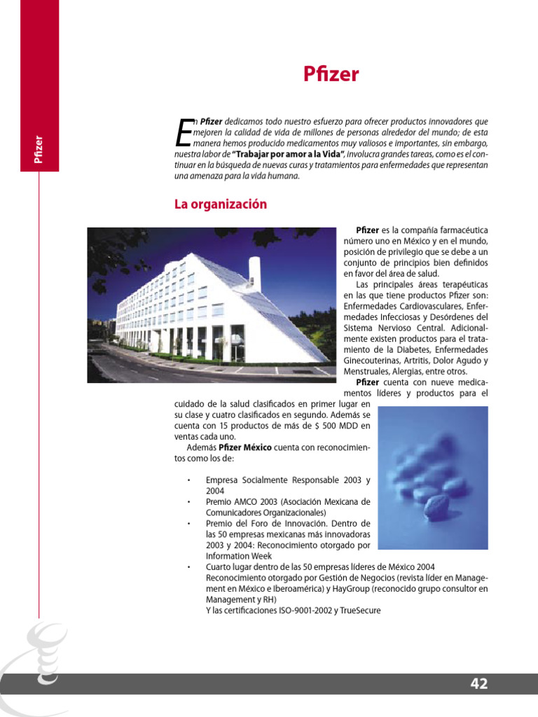 2004 Pfizer | PDF | Planificación estratégica | Marketing