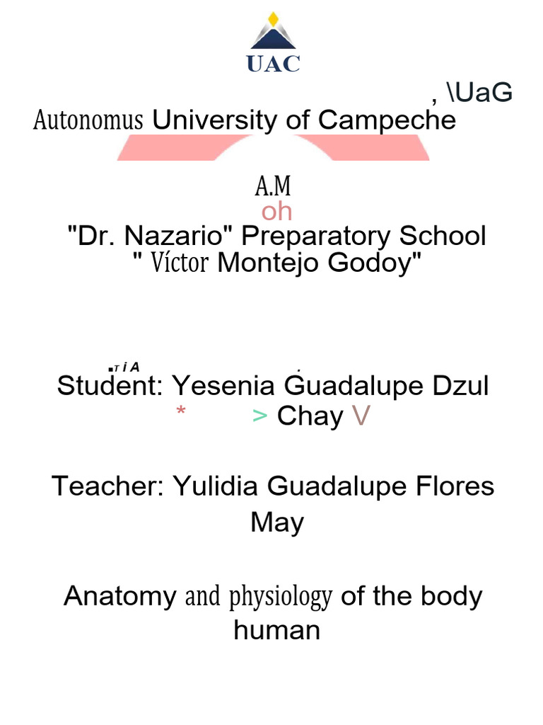 Endocrine System Infographic | PDF | Endocrine System | Medical Specialties