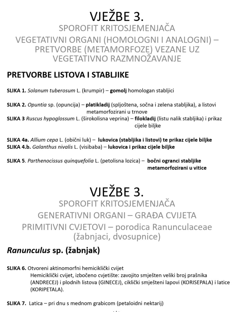 3 Vjezbe Morfologija Biljaka 2023 | PDF