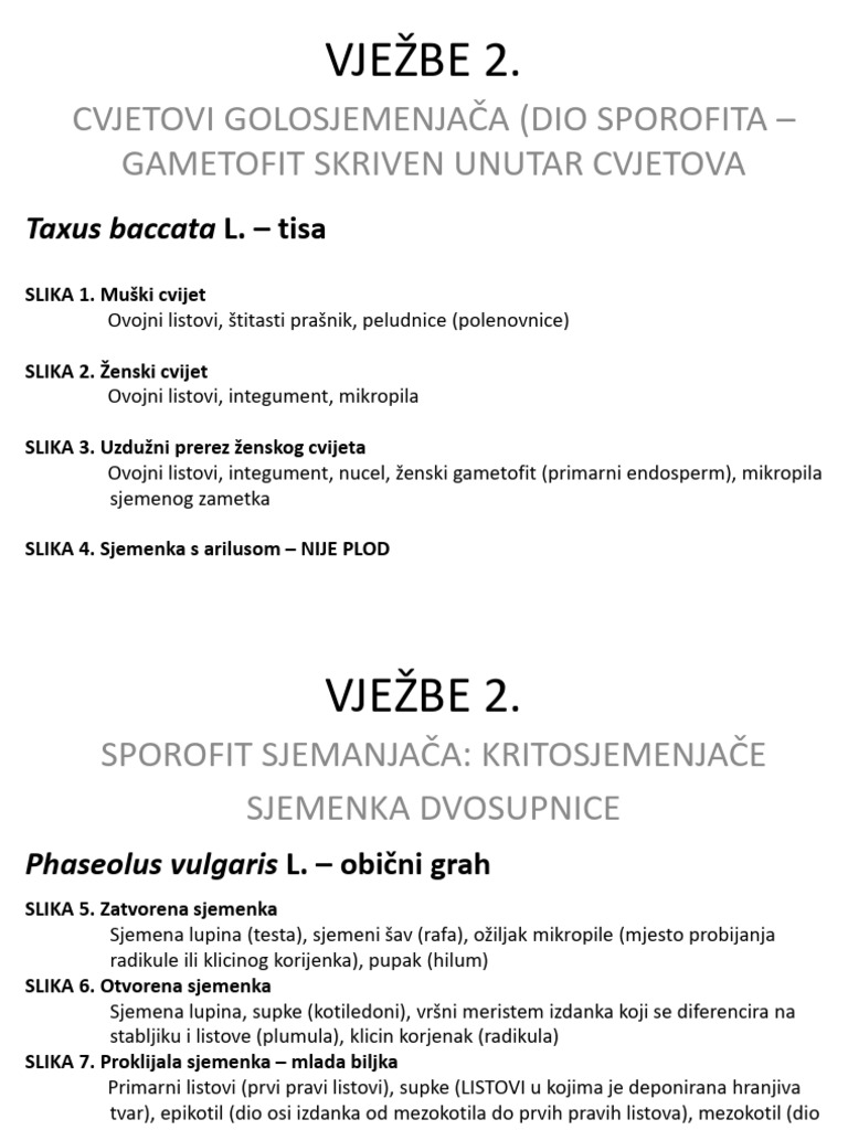 2 Vjezbe-Morfologija Biljaka 2023 | PDF