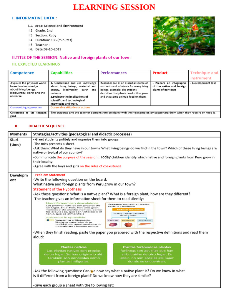 LEARNING-SESSION1 Native and Foreign Plants of Our Town 2nd Grade Primary | PDF | God | Learning