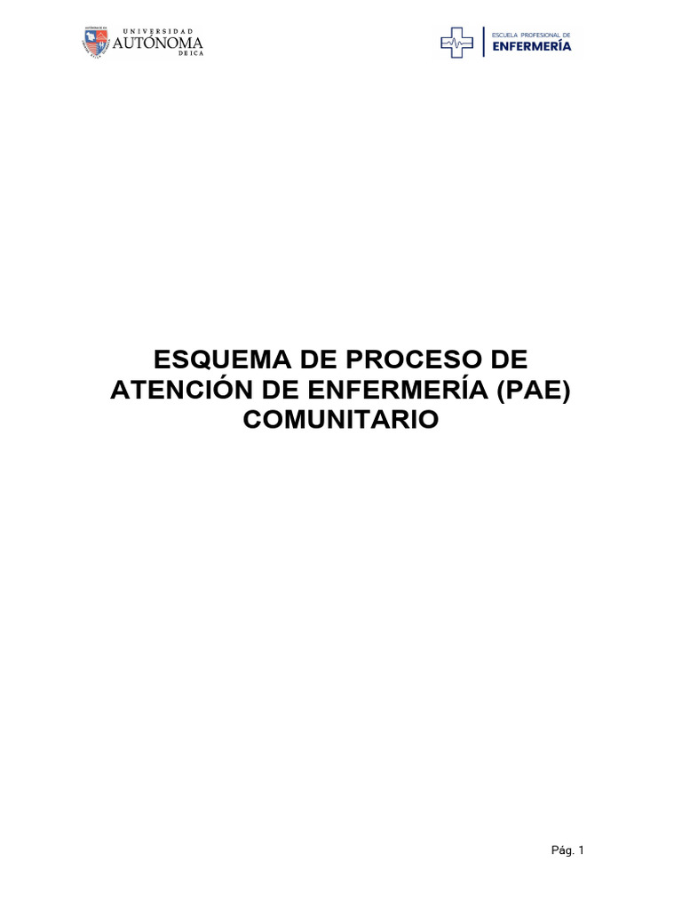 Esquema PAE Comunitario 2024 | PDF | Enfermería | Anemia