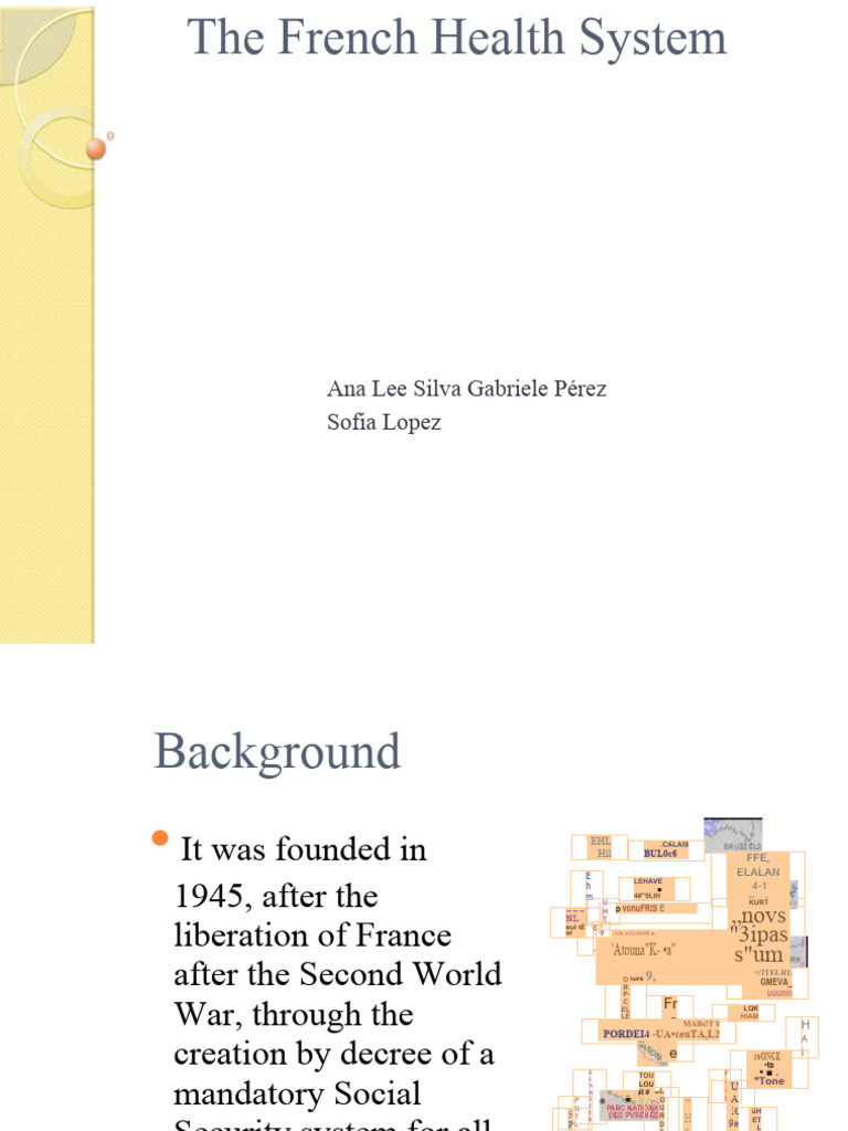 The French Health System | PDF | Health Professional | Hospital