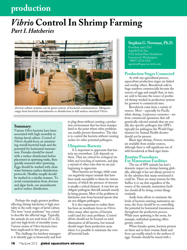 Vibrio Control in Shrimp Farming Part I. Hatcheries GAA 05 - 15 ...