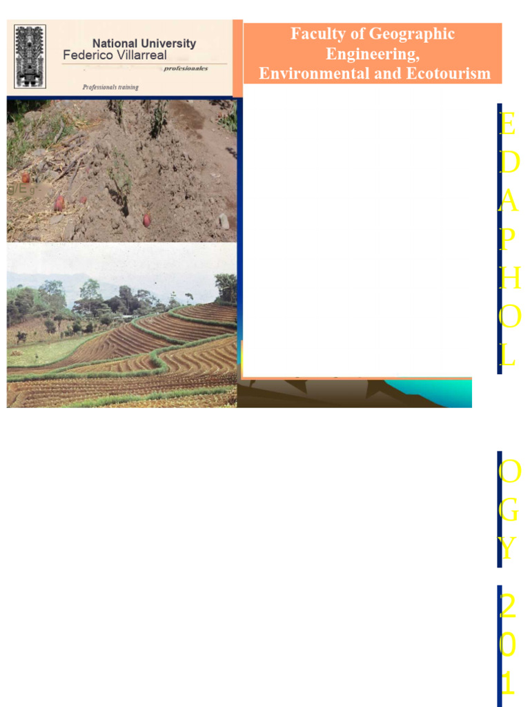 Soil Formation Factors Pdf Soil Weathering