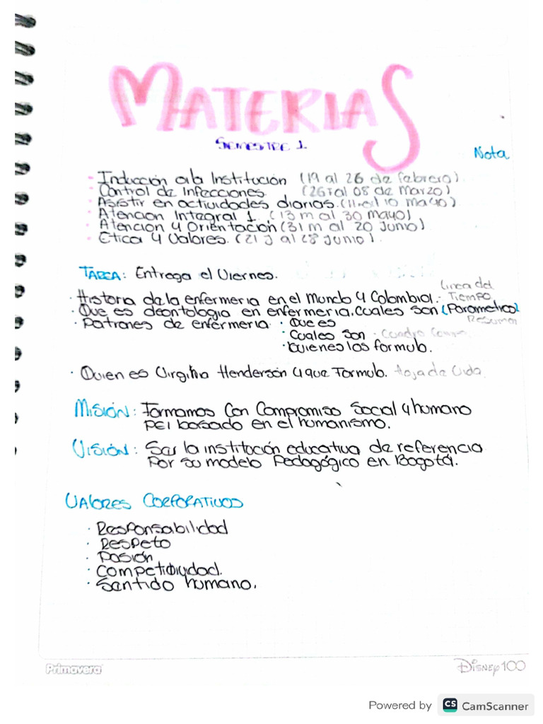 Inducción A La Institución Pdf