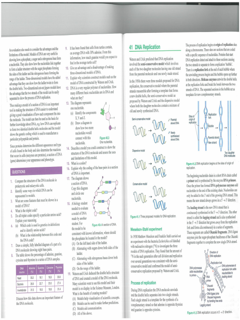 Dna Replication Repair And Organelles Dna Pdf