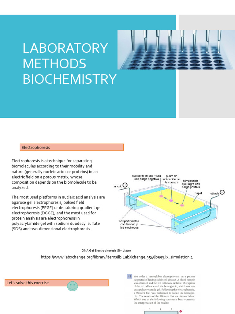 Laboratory Methods Biochemistry | PDF | Gel Electrophoresis | Elisa