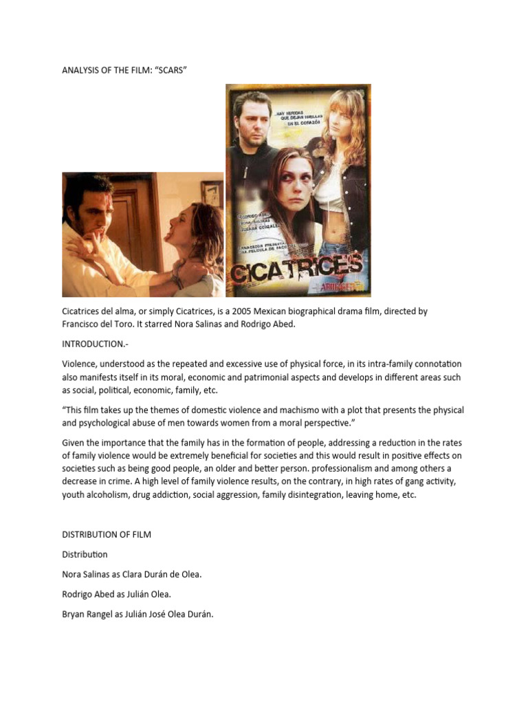 Analysis of The Movie Scars | PDF | Violence | Domestic Violence