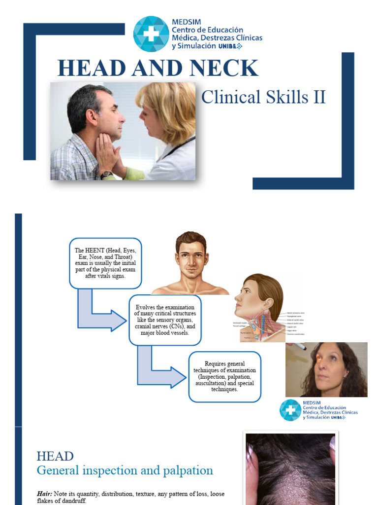 WEEK 3 - Head and Neck | PDF | Thyroid | Human Nose