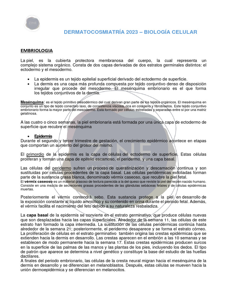 Modulo 1-2-3 - 4 Biologia de La Piel | Descargar gratis PDF | Piel ...