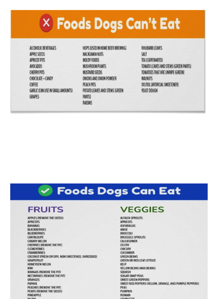 Dog Foods | PDF