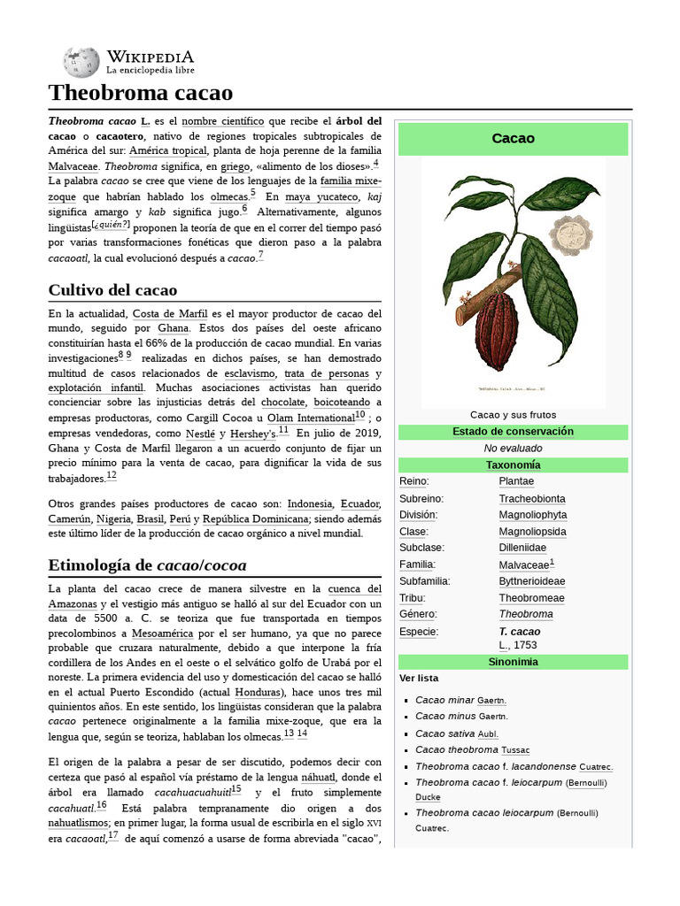 Theobroma Cacao | PDF | Chocolate | Grano de cacao