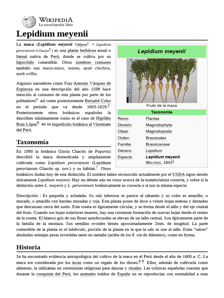 Lepidium Meyenii | PDF | Hierbas Medicinales Y Hongos | Agronomía