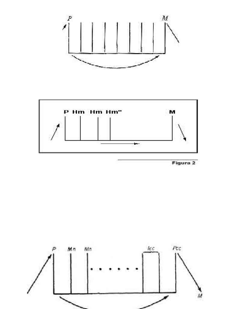 Freud Su Esquema Del Peine | PDF