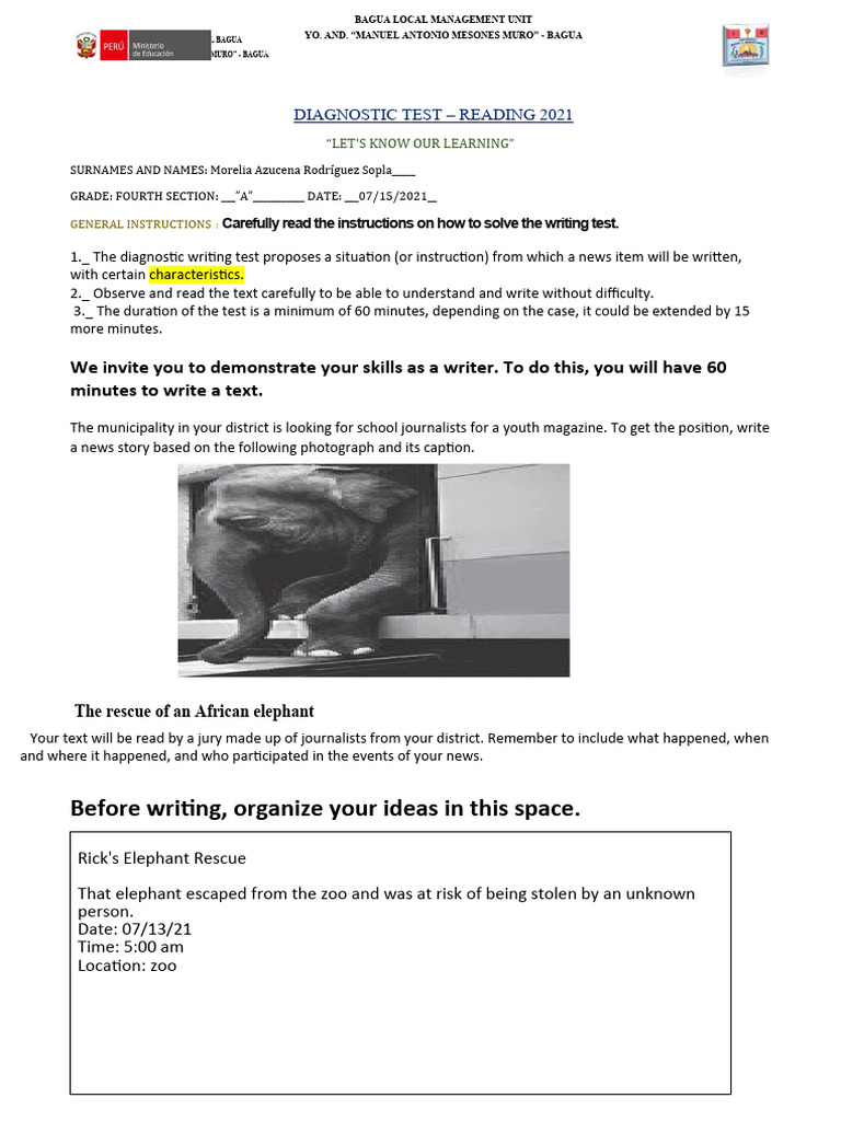 Writing Diagnostic Test. | PDF