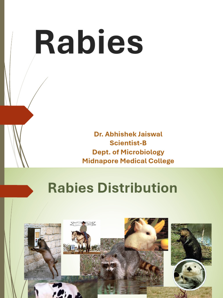 5th Sem - Lecture - Rabies | PDF | Rabies | Vaccines