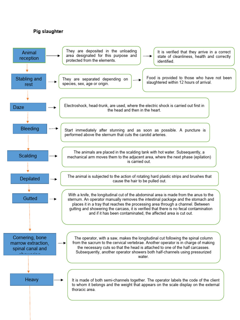 Flow Diagrams For Slaughter of Bovines, Pigs, Poultry | PDF | Vertebral Column