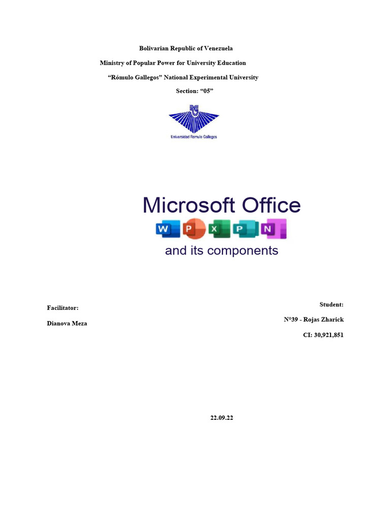 Microsoft Essay | PDF | Microsoft Excel | Microsoft Word